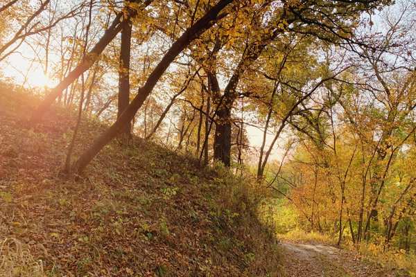 Everything You Need To Know About Hitchcock Nature Center - Let's Go Iowa